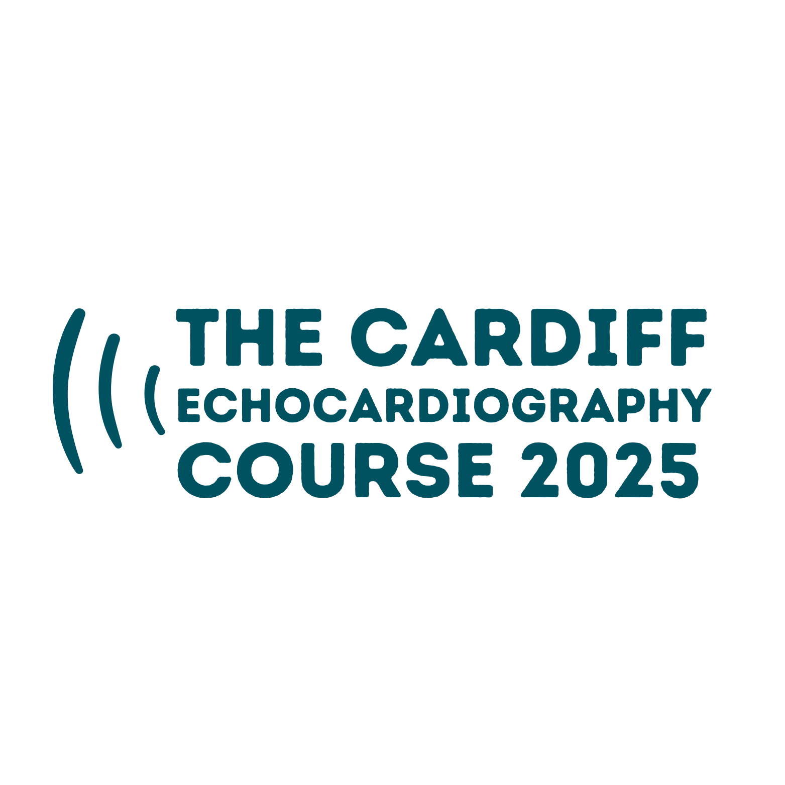 Cardiff Echocardiography Course 2025